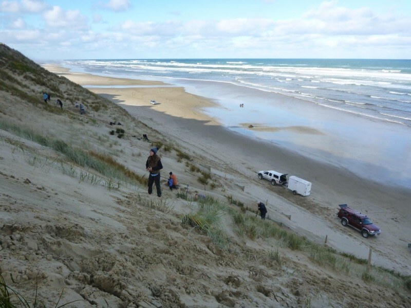 Baylys Beach Society Inc • Coastal Restoration Trust of New Zealand