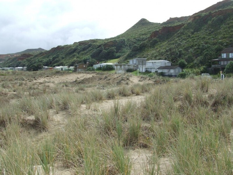 Glinks Gully Protection Society • Coastal Restoration Trust of New Zealand