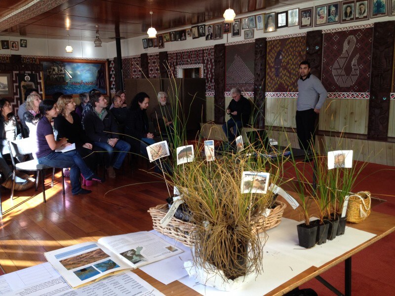 Pingao workshop in Pirinoa attracts people from across NZ • Coastal ...