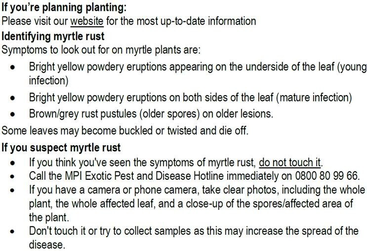 Identify Myrtle Rust before you plant • Coastal Restoration Trust of ...