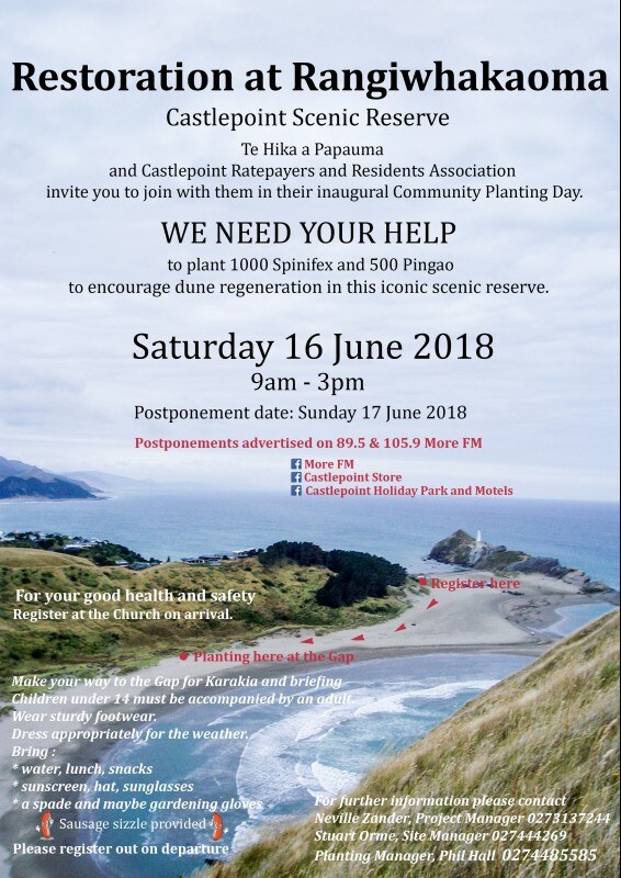 Castlepoint Community Planting Day 16 June • Coastal Restoration Trust ...
